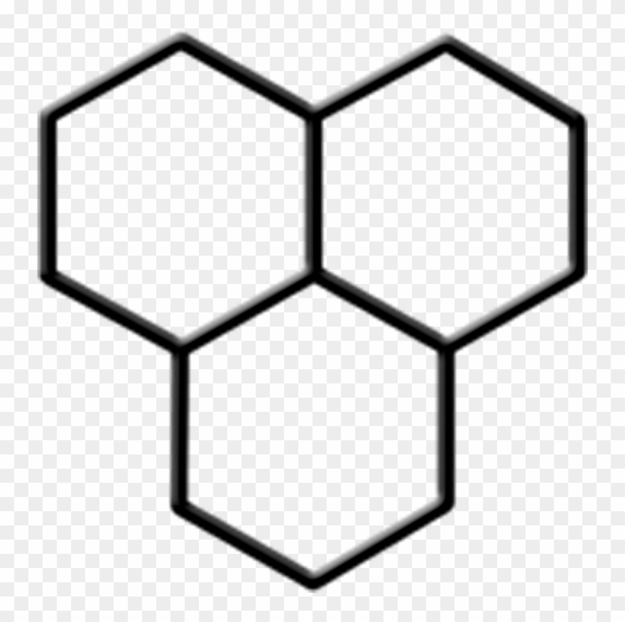 Download Plant Fossil Clip Art - Png Download (#3059731) - PinClipart