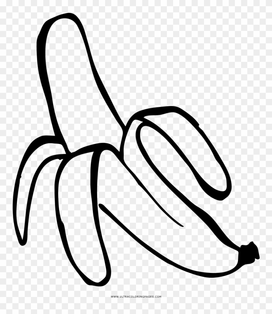 Fruit Transprent Png Free Download White Black Clipart (#3079542 ...