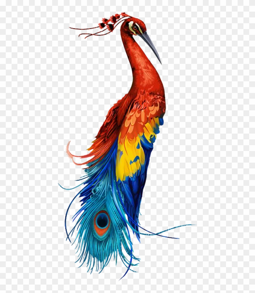 Peacock Feather Clip Art - Png Download (#3107774) - PinClipart