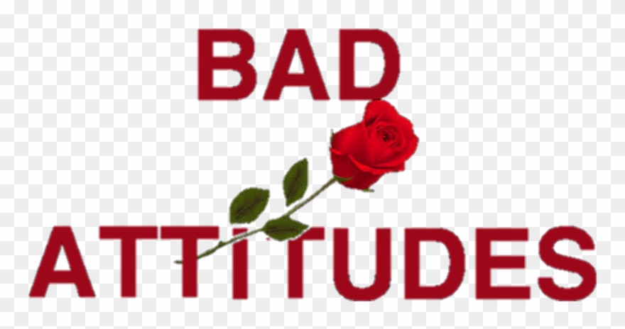 Attitude Clip Art - Png Download (#3121934) - PinClipart