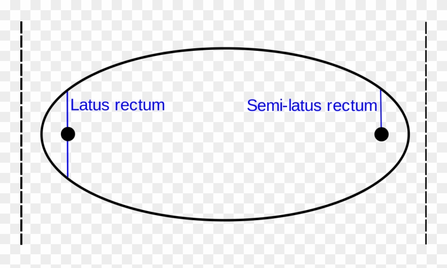 Ellipse Latus Rectum V2 Clipart (#3143846) - PinClipart