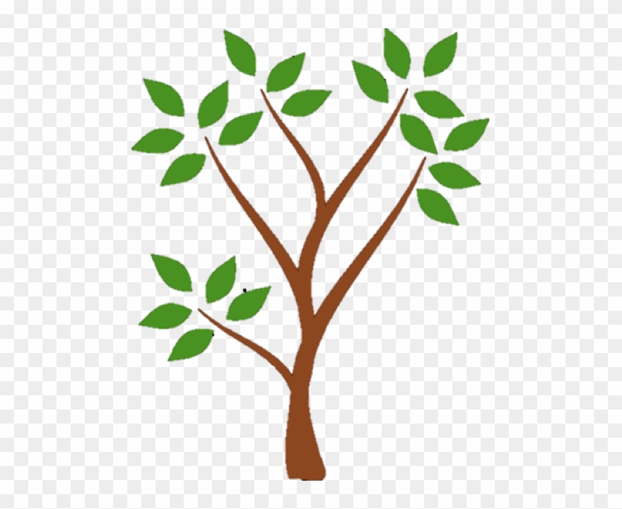 Parts Of A Plant Clip Art - Png Download (#3170323) - PinClipart