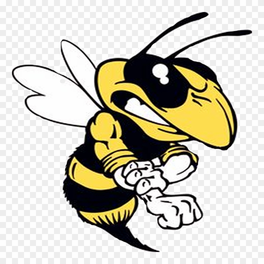 Wasps And Hornets - Hillside High School Hornets Clipart (#3183726 ...