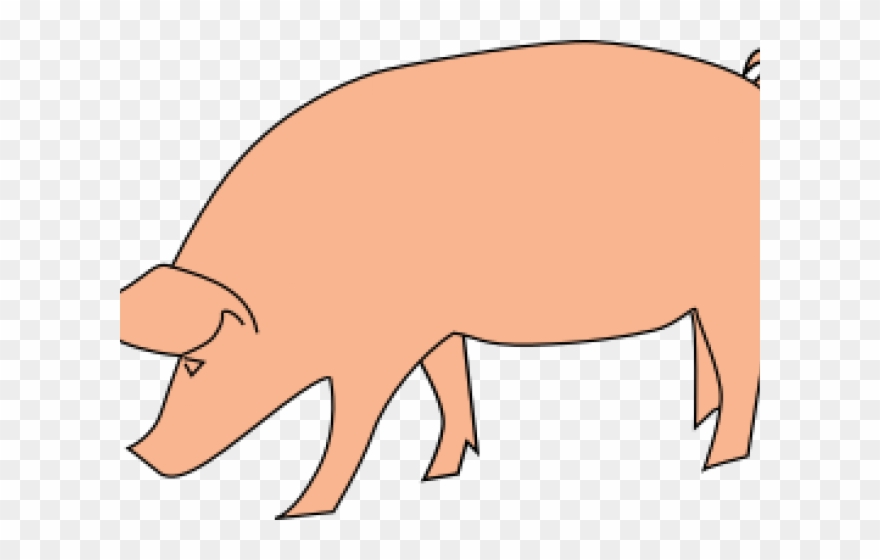 Pork Clipart Baboy - Swinia Rysunek - Png Download (#3185304) - PinClipart