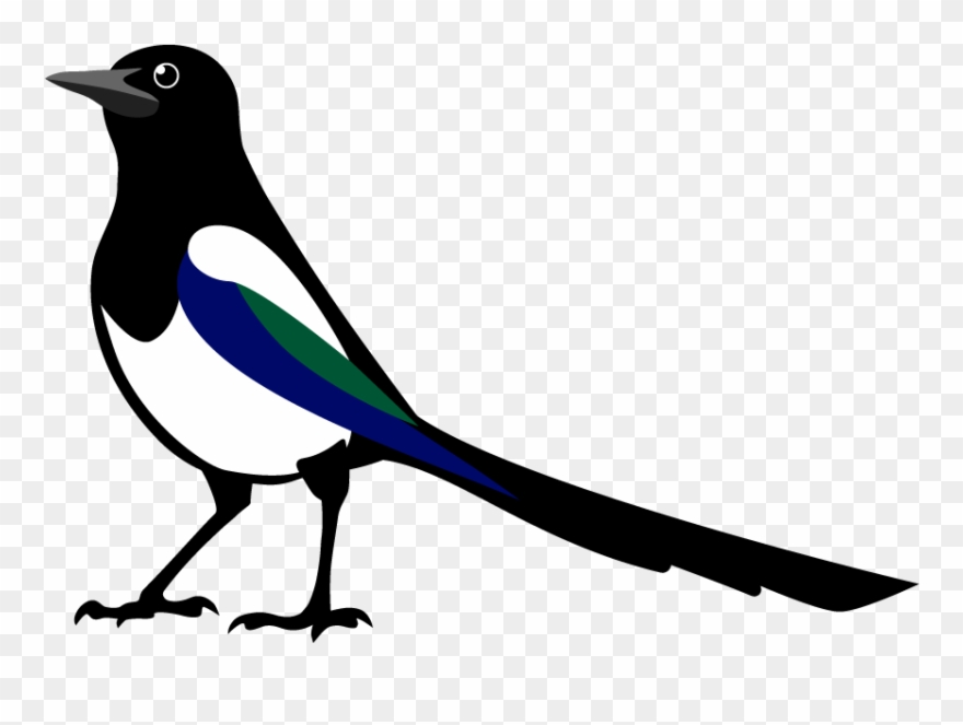 Magpie Clip Art