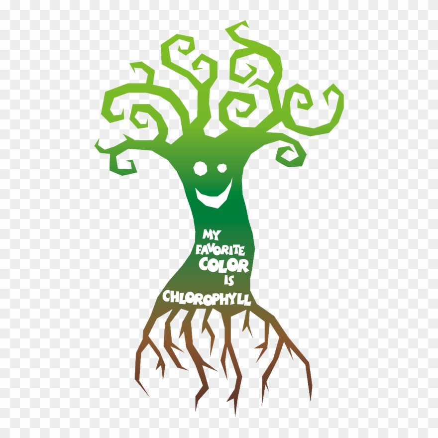 Chlorophyll Is Only In The Plant Cell And Is In The - Illustration ...