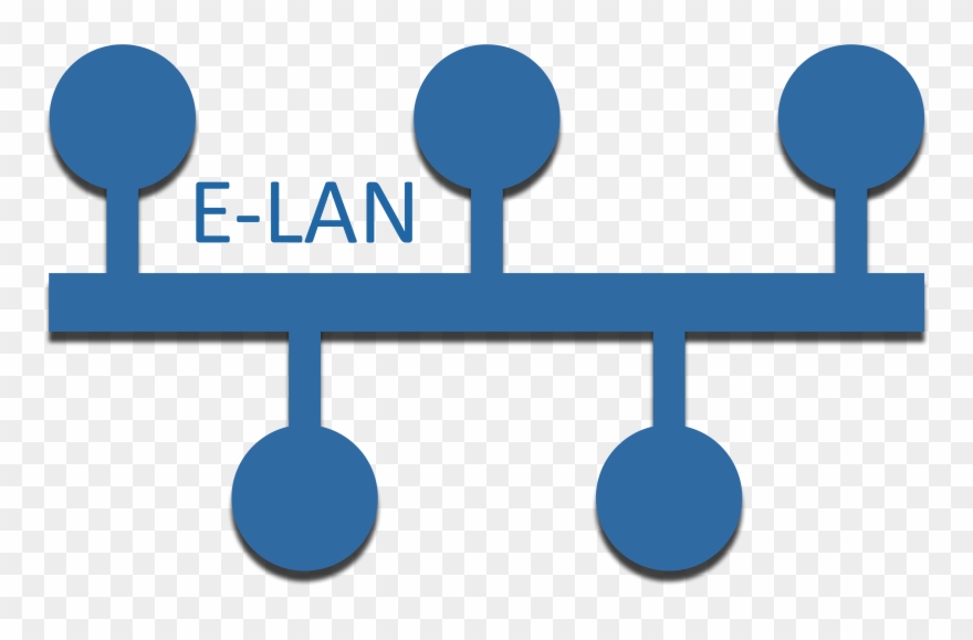 Download Local Area Network Transparent - Eline Vs Elan Clipart ...