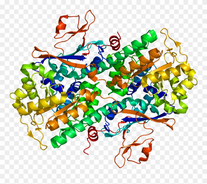 Visfatin Structure Clipart (#3249254) - PinClipart