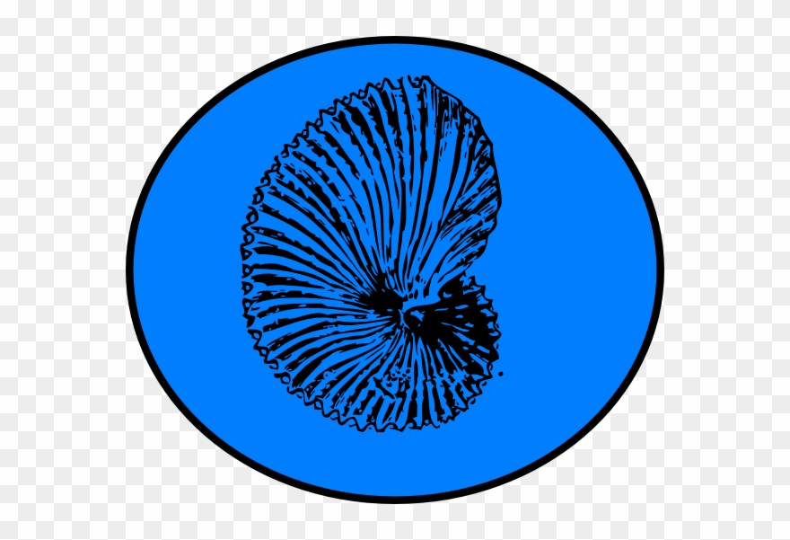 Blue Shell Svg Clip Arts 600 X 521 Px - Png Download (#330626) - PinClipart