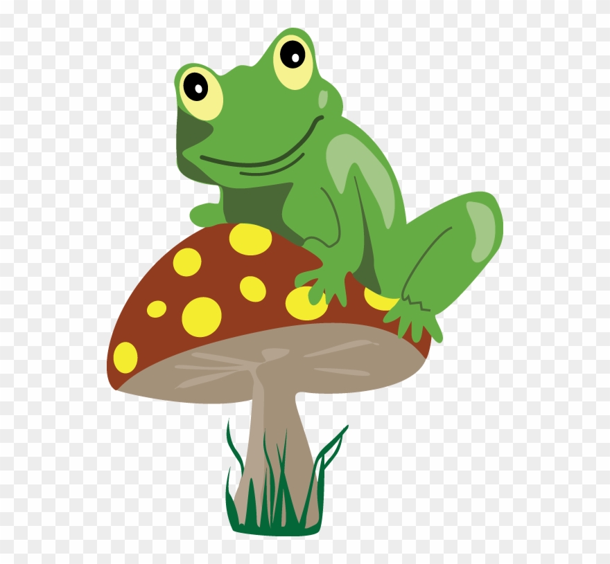 Clip Art Free Library Meet Fred He Is - True Frog - Png Download ...