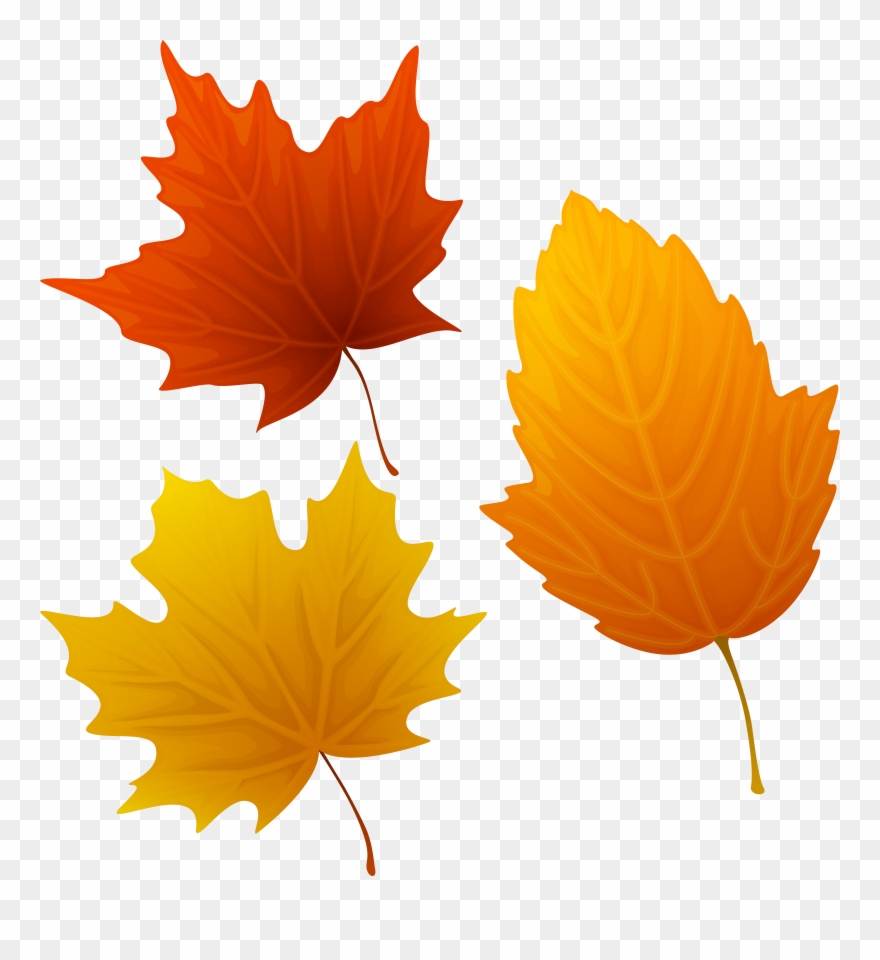 Download Top 88 Autumn Leaves Clip Art - Fall Leaf Clip Art Png ...