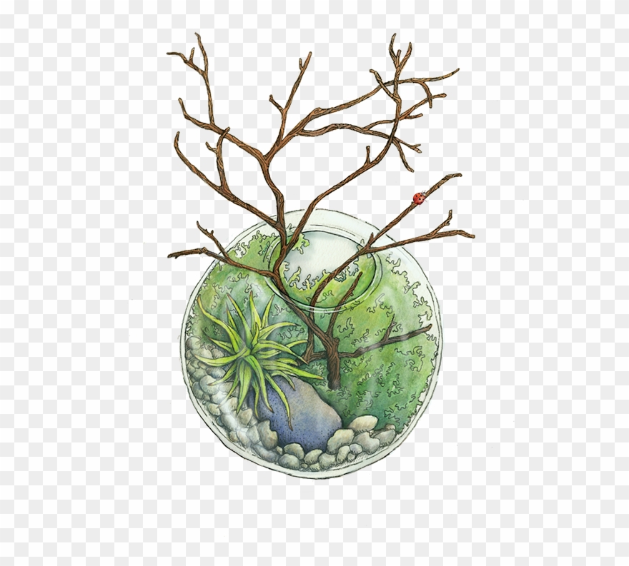 Terrarium - Terrarium Illustration Png Clipart (#3337917) - PinClipart