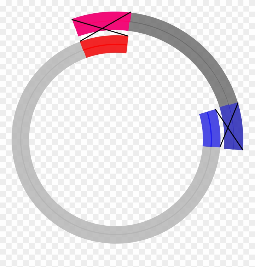 Open - Circle Clipart (#3340433) - PinClipart