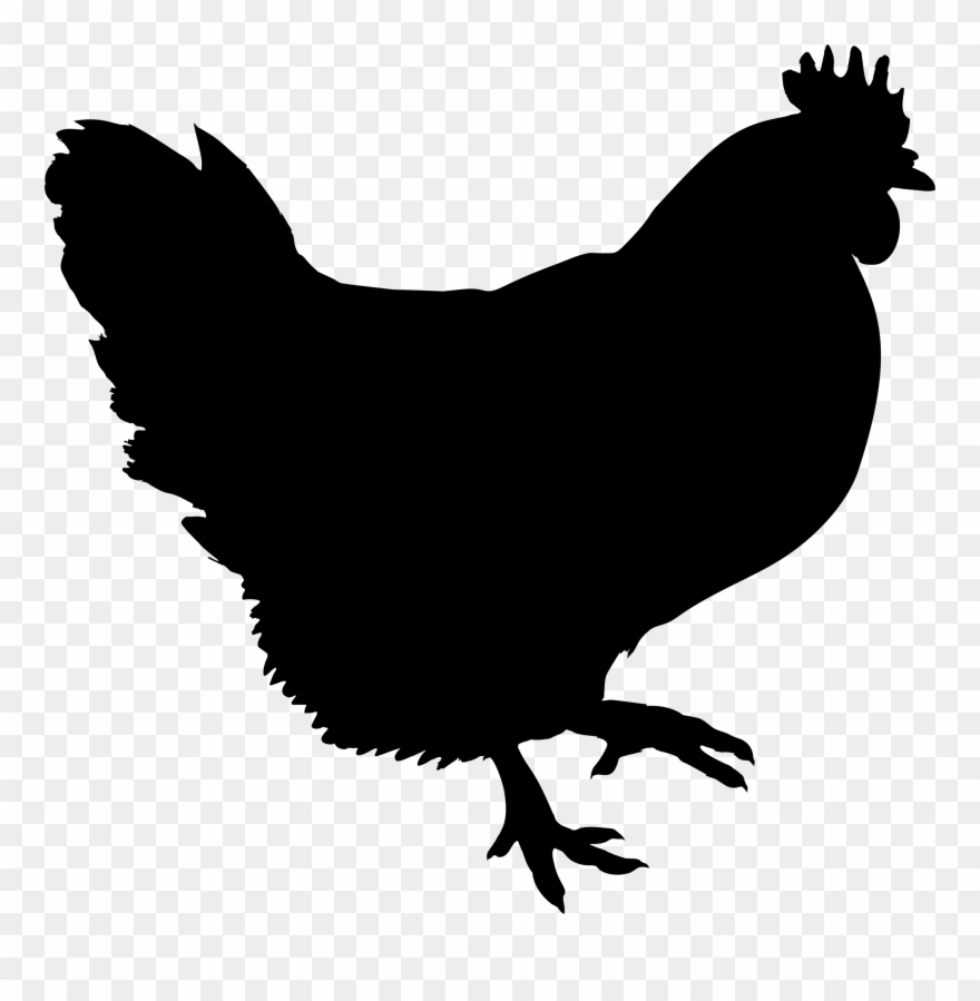 Big Image - Black Chicken Clip Art - Png Download (#3347188) - PinClipart
