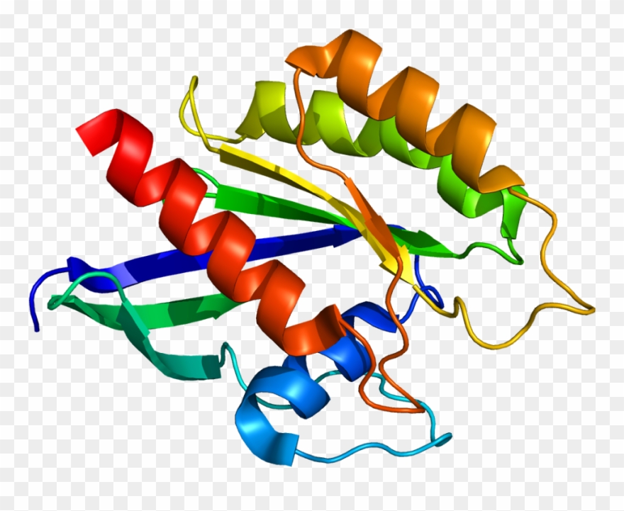 Rab Protein Structure Clipart (#3349397) - PinClipart