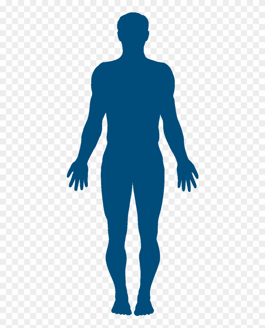 Human Body Silhouette Clipart 3354196 PinClipart human-body-silhouette-clipart-3354196-pinclipart