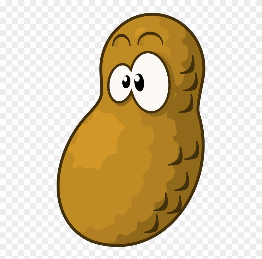 Transparent Peanut Vector - Peanuts Clip Art - Png Download (#341714 ...