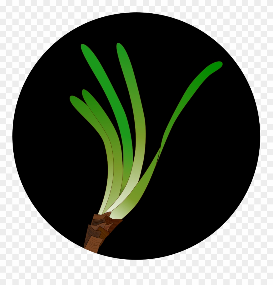File - Seagrass Icon - Svg - Circle Clipart (#3449683) - PinClipart