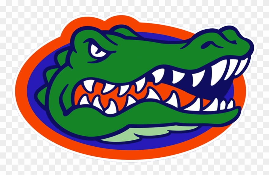 Florida Gators Clipart (#3479114) - PinClipart