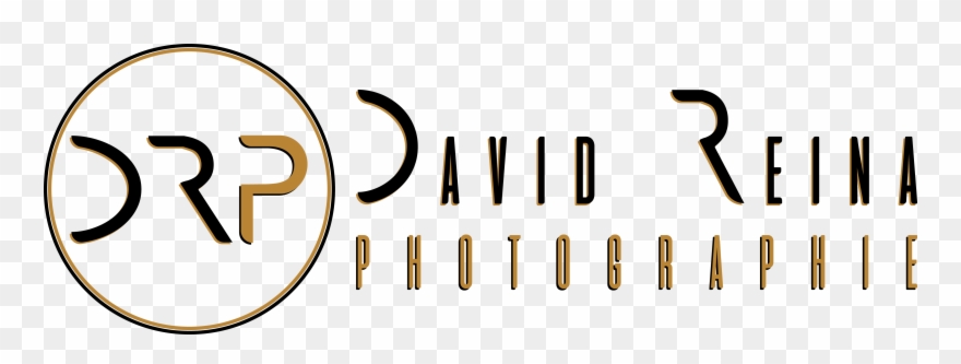 Download David Reina Photographie - Calligraphy Clipart (#3486499 ...