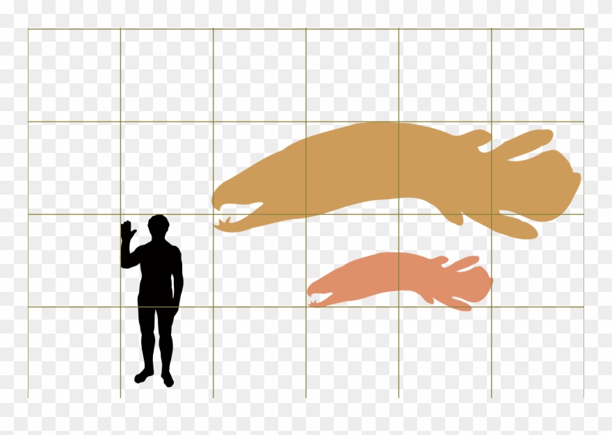 Open - Onychodus Clipart (#3497484) - PinClipart