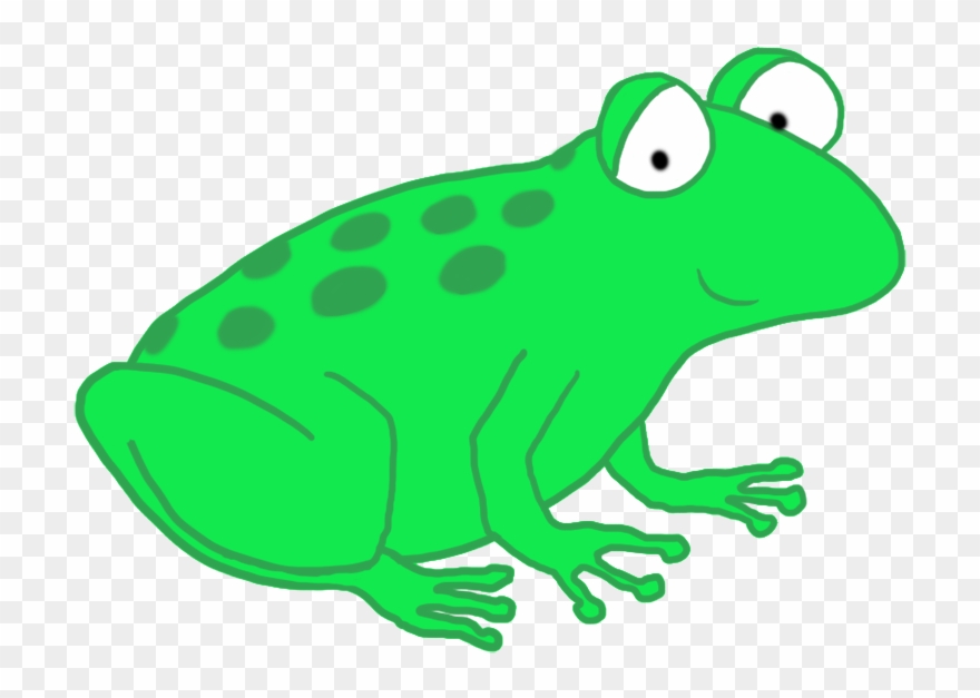 Frog Clip Art - Toad Cartoon Transparent Background - Png Download ...