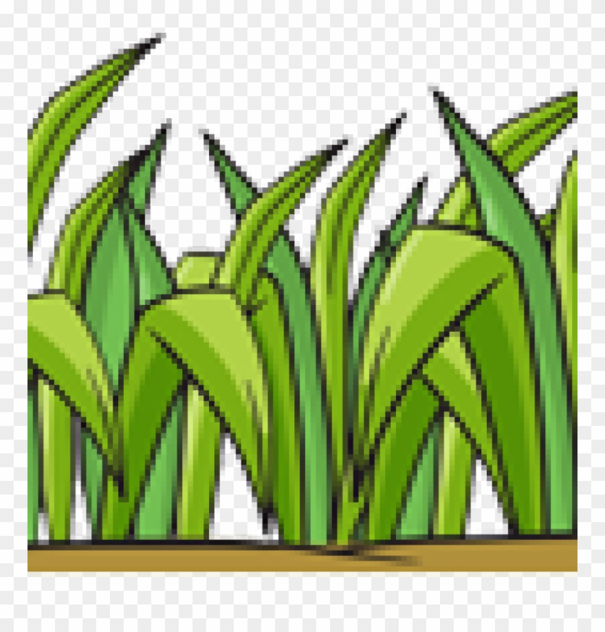 Grass - Imagenes Animadas Zacate Clipart (#3549726) - PinClipart