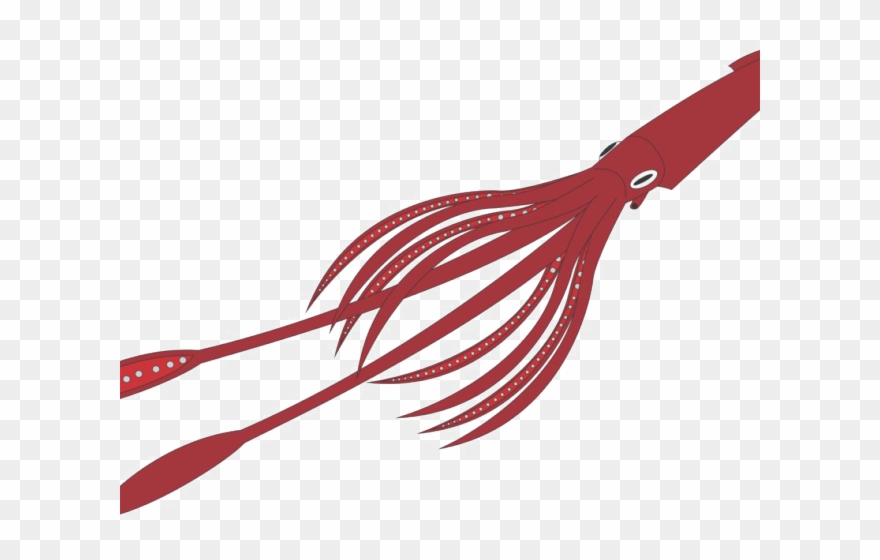 Squid Clipart Transparent Background - Giant Squid No Background - Png ...