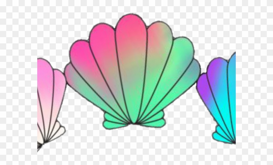 Mermaid Clipart Seashell - Mermaid Shell Clipart Png Transparent Png ...