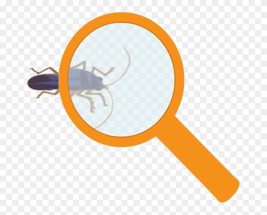 Medium Image - Magnifying Glass Bug Png Clipart (#3582798) - PinClipart