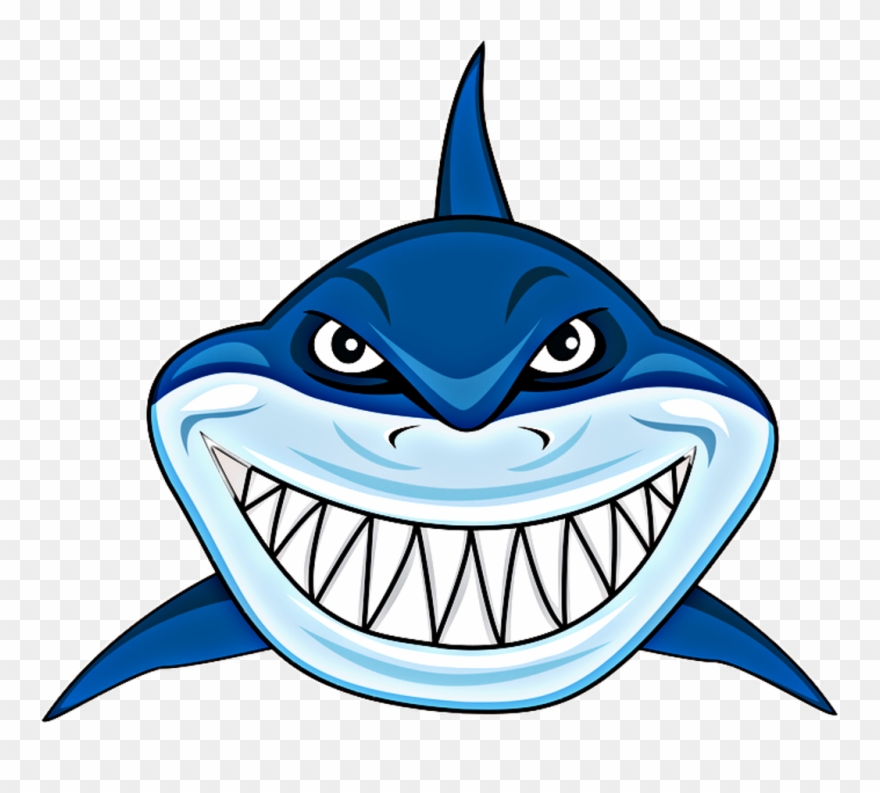 Download Shark Face Clipart - Png Download (#3592535) - PinClipart