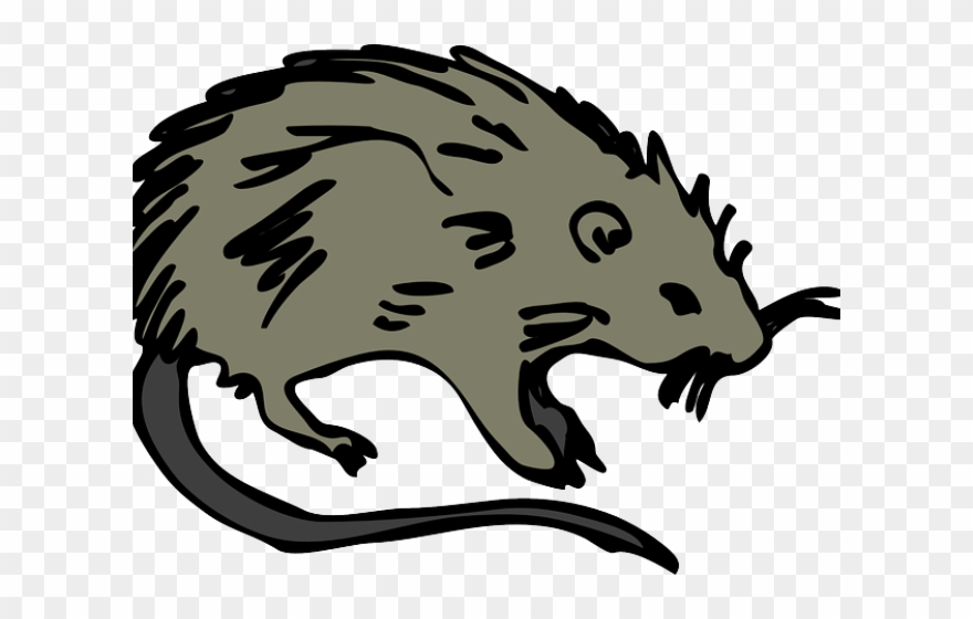 Ratticus Clipart (#3594438) - PinClipart