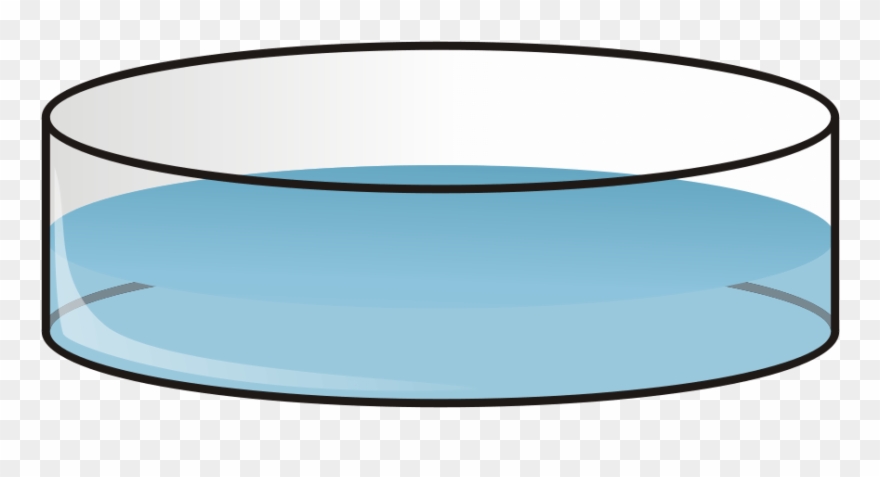 Petri Dish Clipart, Vector Clip Art Online, Royalty - Petri Dish With ...