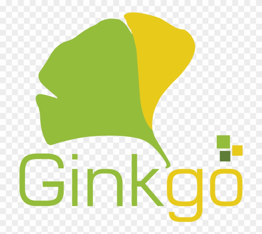 Ginkgosoft - Ginkgo Soft Clipart (#3601188) - PinClipart