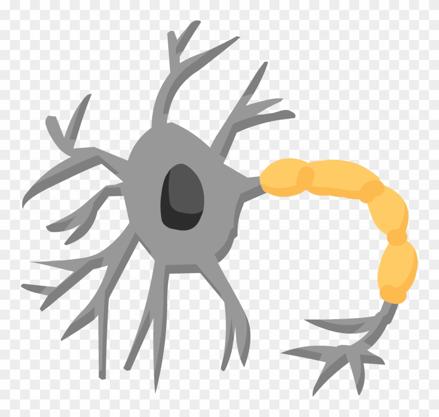 Neurons Clip Art - Png Download (#3617978) - PinClipart