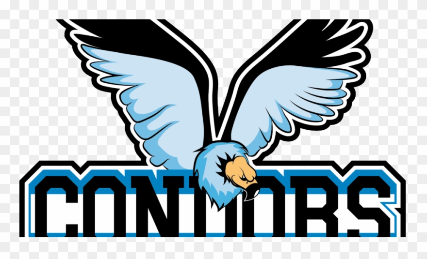 Argentina Condors Logo Clipart (#3619853) - PinClipart