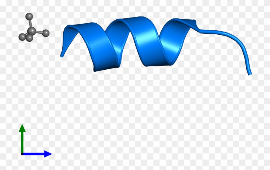 Peptide Alpha Helix Clipart (#3641266) - PinClipart