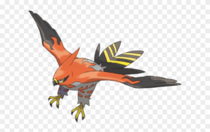 Falcon Clipart Talon - Pokemon Talonflame - Png Download (#3681849 ...