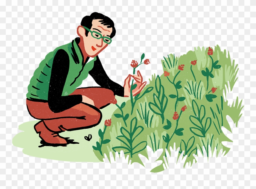 We Support Farmers In The Transition From Their Agricultural ...