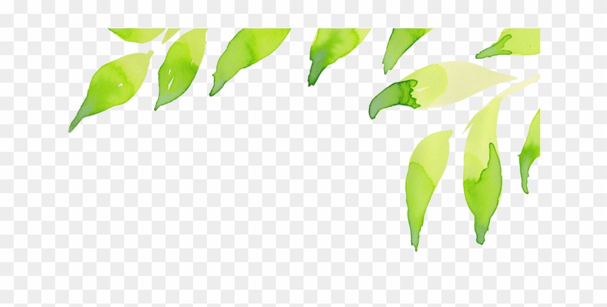 Header Green Leaves Right Clipart (#3748098) - PinClipart