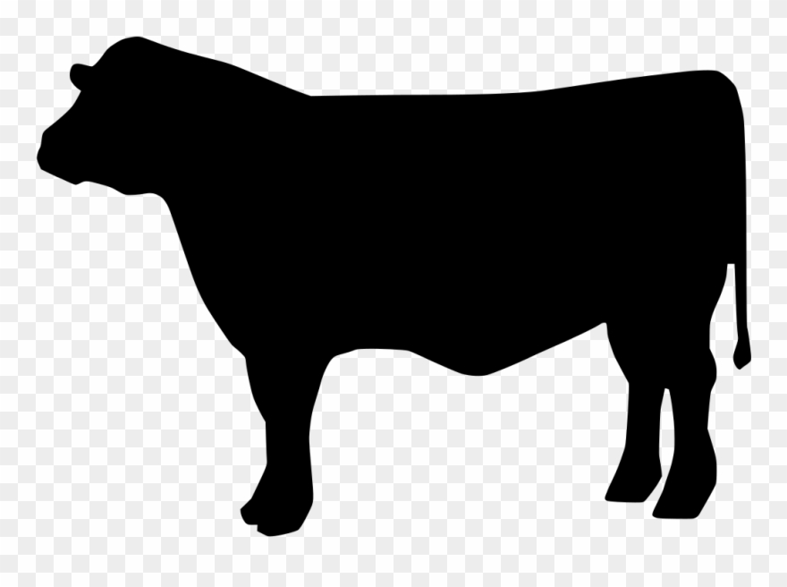 Download Download Png - Beef Cattle Svg Clipart (#3761660) - PinClipart