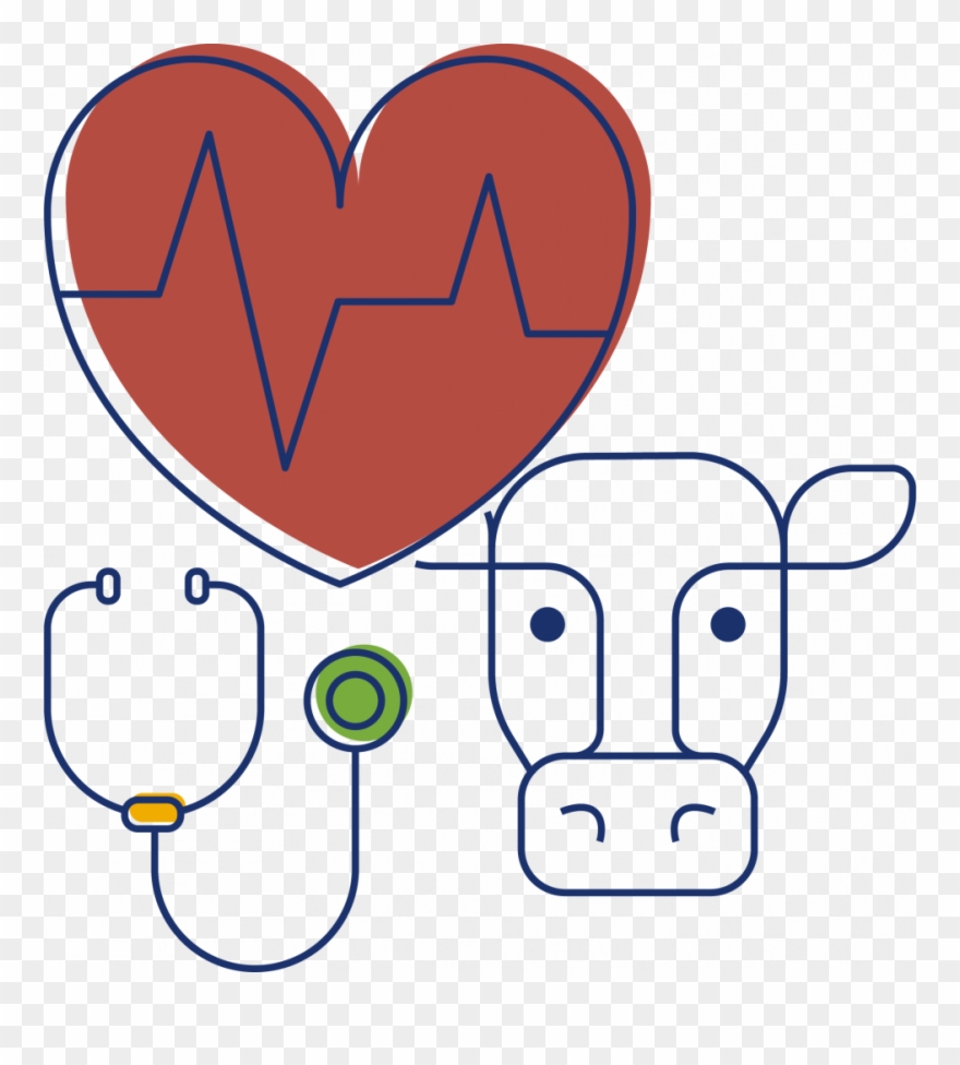 Icon Animal Health Clipart (#3766470) - PinClipart