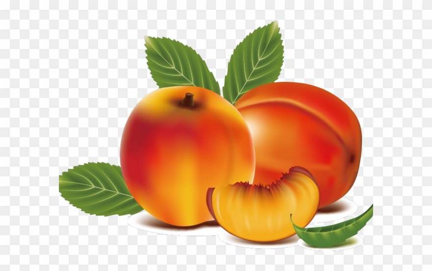 Peach Clipart Apricot - Peach Fruit Clip Art - Png Download (#3773826 ...