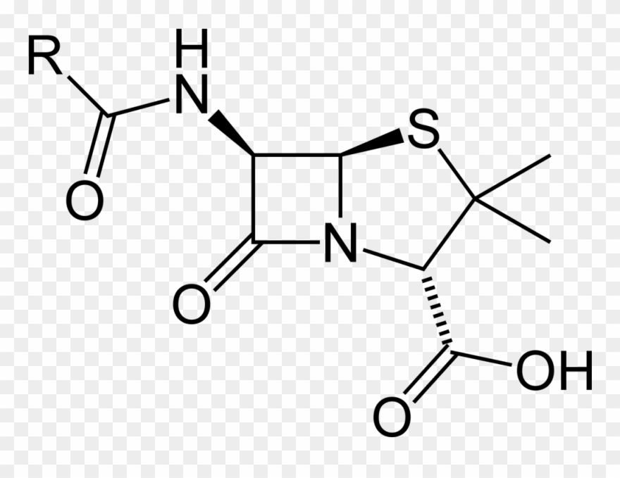 Penicillin Nucleus 2d Balls - Chemical Structure Of Penicillin Clipart ...