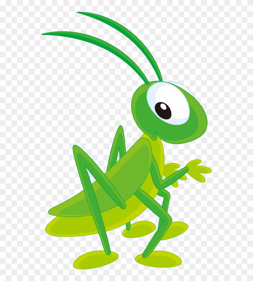 1000 X 1000 4 - Imágenes De Grillos Animados Clipart (#3819582 ...