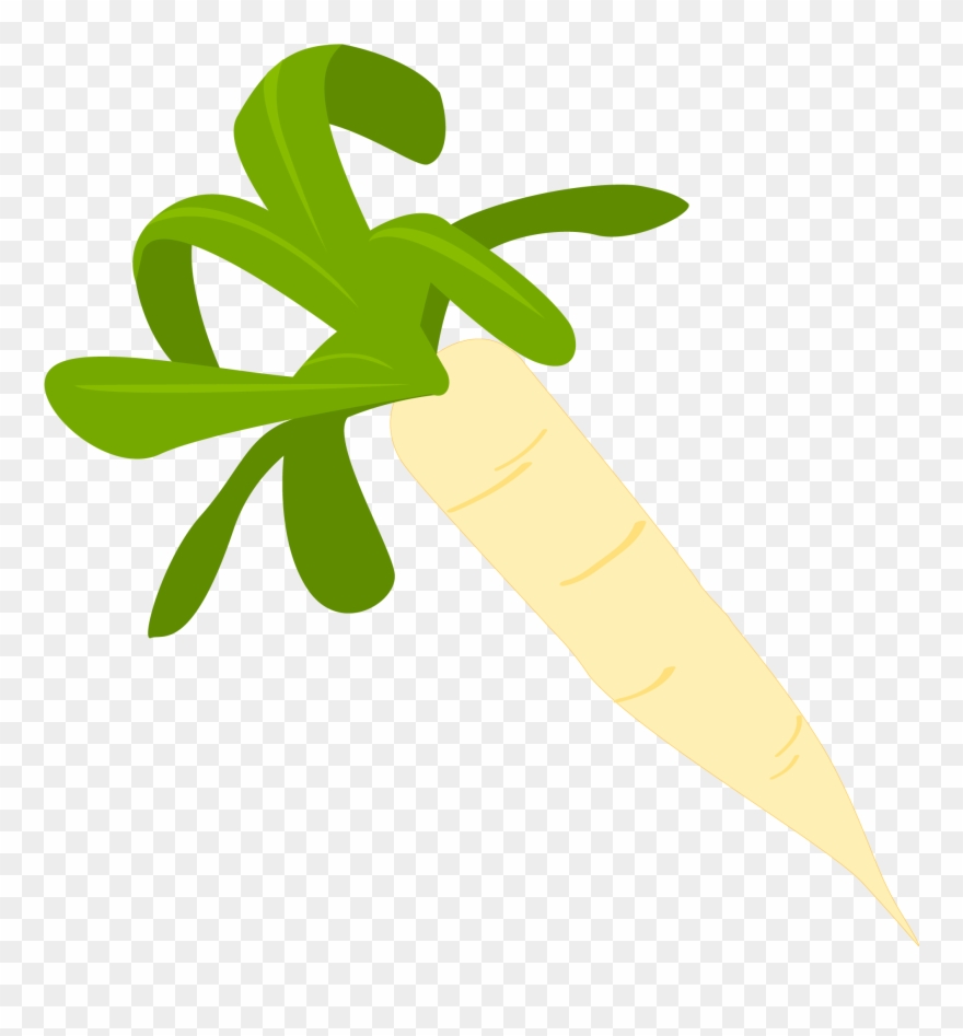 Chicory Clipart (#3821437) - PinClipart