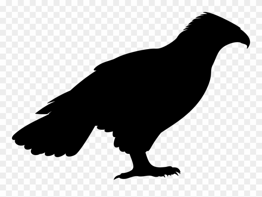 Big Image - Scalable Vector Graphics Clipart (#3823937) - PinClipart