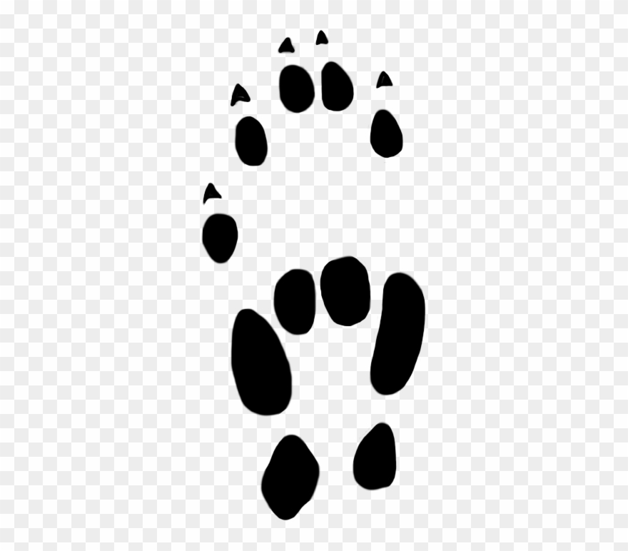 Mouse Paw Prints Clipart 3 By George - Computer - Png Download (#396406 ...