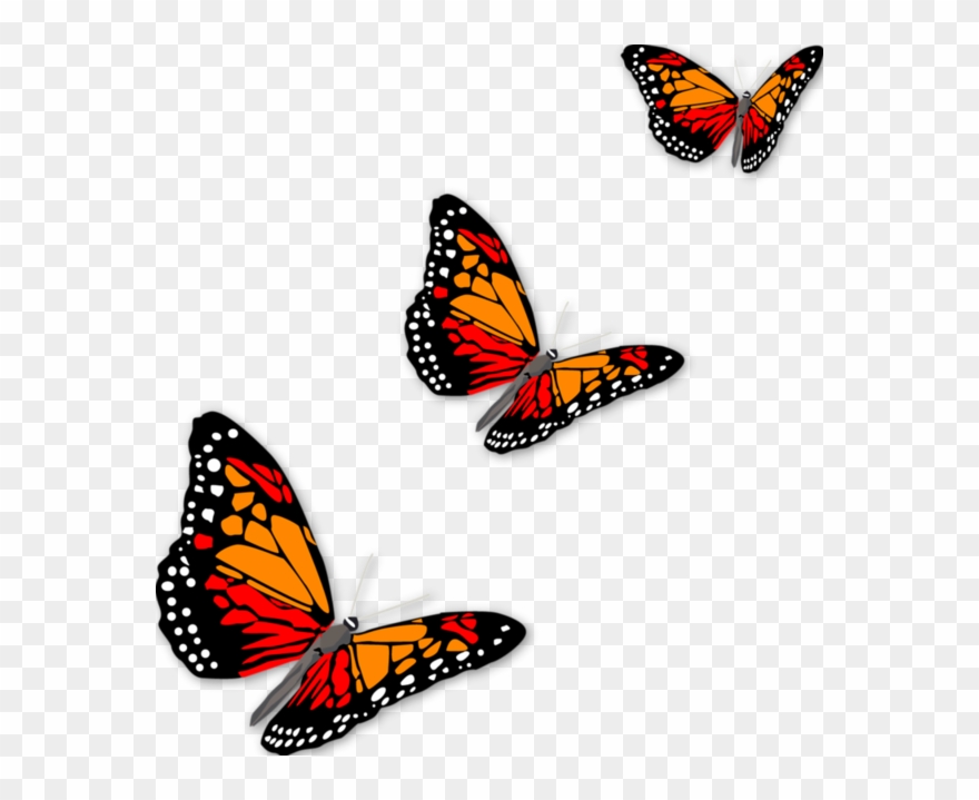 Clipart Butterflies - Row Of Butterflies - Png Download (#398343 ...
