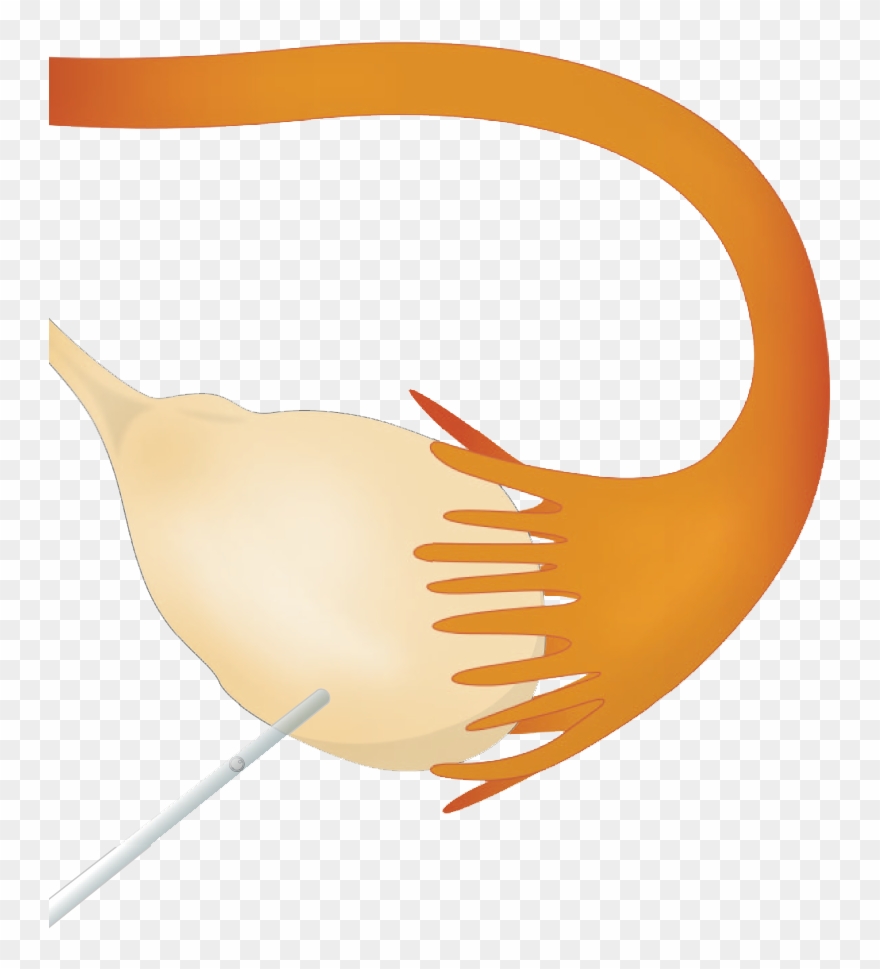 Retrieval - Illustration Clipart (#3926558) - PinClipart